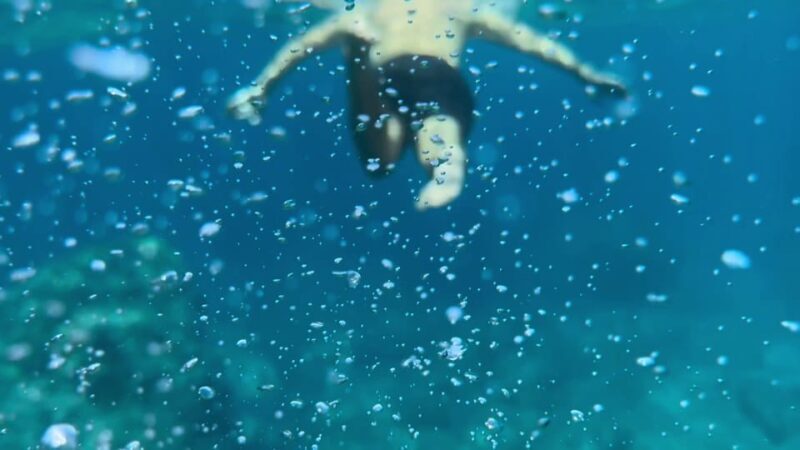 Hidden Coves, Hiking & Snorkeling Adventure in Mallorca - Hiking Through Rugged Terrain