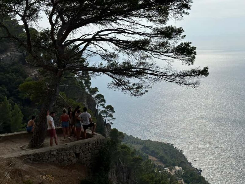 Hidden Coves, Hiking & Snorkeling Adventure in Mallorca - Small Group Dynamics and Personal Touch