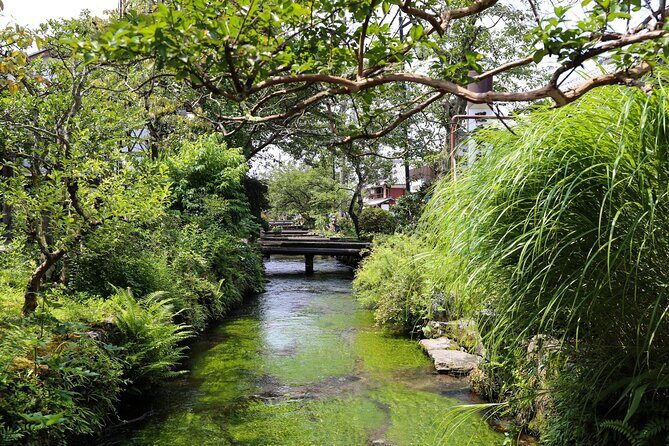 Hidden Craft Village and Nakasendo Historical Town Walking Tour - Introduction: A Taste of Japan’s Quiet Countryside and History