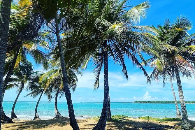 Hidden Fresh Spring of Water+ Cave+ Beach & Food Full Day Tour - Exploring Puerto Rico’s Hidden Treasures: A Deep Dive into the Full-Day Spring, Cave, and Beach Tour