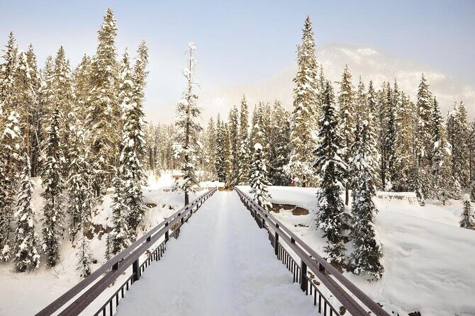 Hidden Gems | Banff | Icefields Parkway | Off The Beaten Path - Starting Early and Personal Pickup