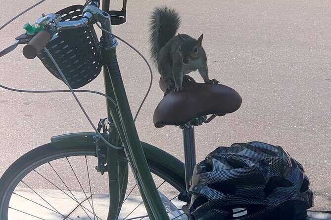 Hidden Gems Foodie Bicycling Tour of Downtown St Petersburg - FAQs