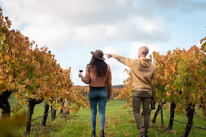 Hidden Gems: Full-Day Wine, Scones, Lunch and Local Produce Tour - An Engaging Day in Margaret River: A Detailed Look
