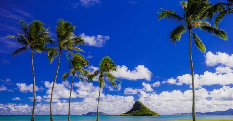 Hidden Gems of Oahu Circle Island Tour with Byodo-In Temple - Introduction