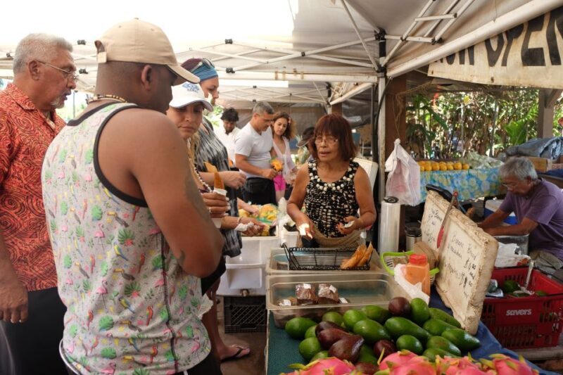 Hidden Gems of Oahu Circle Island Tour with Byodo-In Temple - Pickup and Transportation
