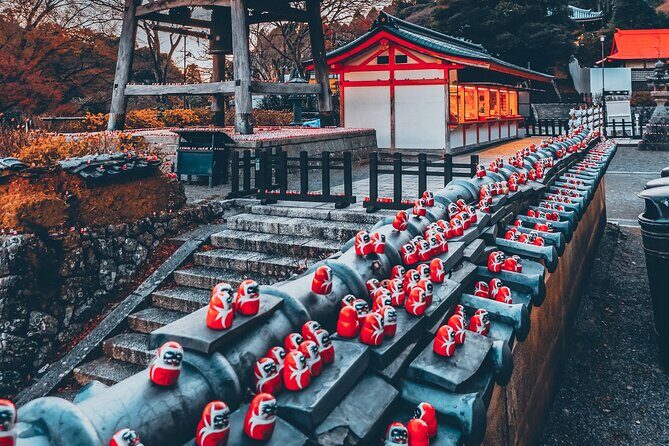 Hidden Gems of Osaka Kyoto Nara - Private Car Tour by Local Guide - The Cost vs. Value