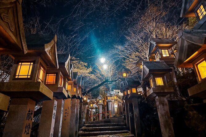 Hidden Gems of Osaka Kyoto Nara - Private Car Tour by Local Guide - The Sum Up: Who Should Consider This Tour?