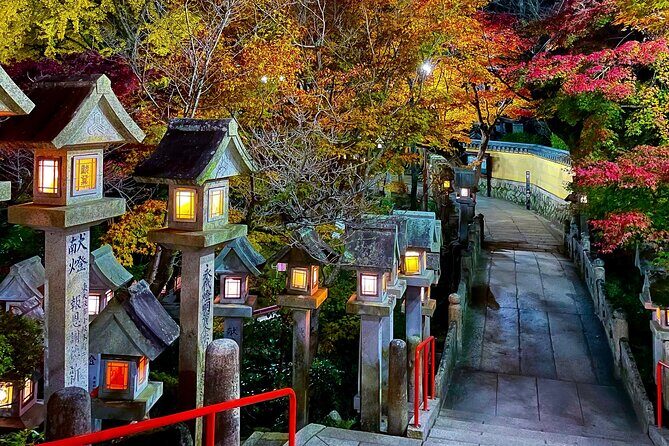 Hidden Gems of Osaka Kyoto Nara - Private Car Tour by Local Guide - FAQ