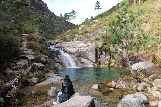 Hidden Gems of Peneda-Gerês National Park on a Full-Day Tour - Why the Guide Matters