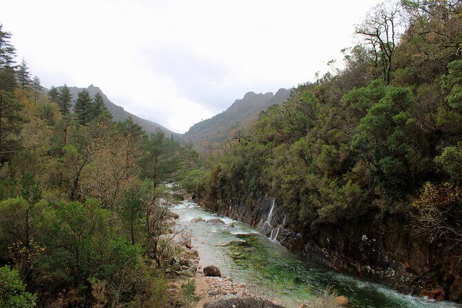 Hidden Gems of Peneda-Gerês National Park on a Full-Day Tour - Who Will Love This Tour?