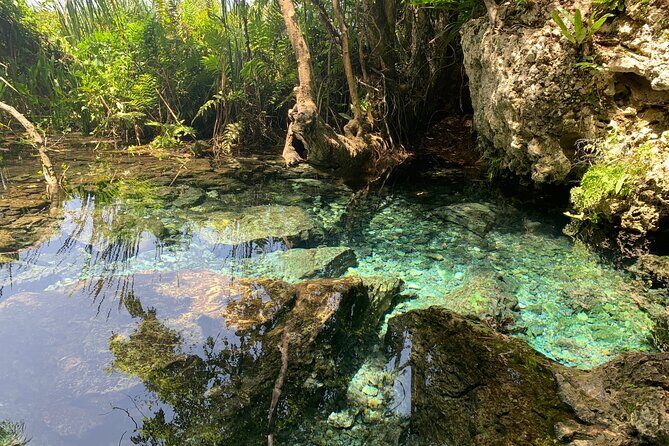 Hidden Gems of the North, Puerto Rico Private Tour - Pricing and Value Analysis