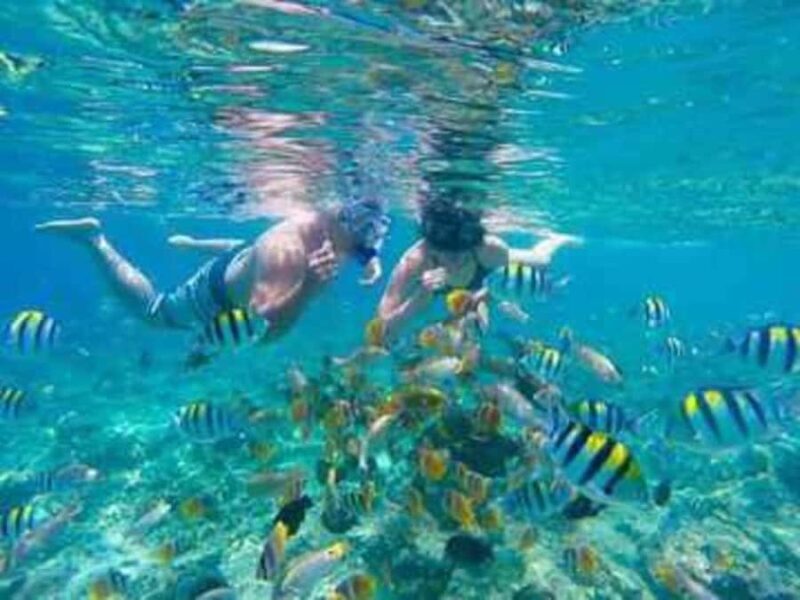 HIDDEN GEMS SECREAT ISLAND ( NAGGU, SUDAK & KEDIS ) - Key Points