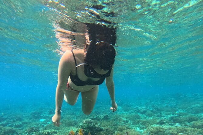 Hidden Gilis: Private Snorkeling Adventure to 5 Secret Islands - An In-Depth Look at the Tour