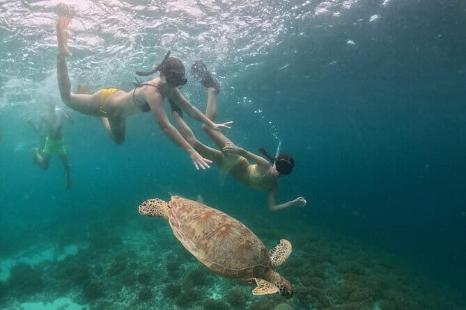 Hidden Gilis: Private Snorkeling Adventure to 5 Secret Islands - FAQ
