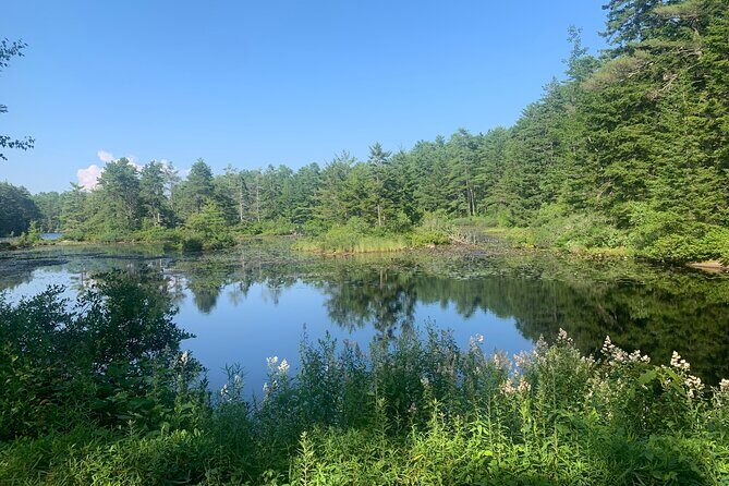 Hidden Harbor E Bike Tour of Boothbay Harbor - The Authentic Experience and Value