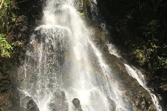 Hidden Hawaii Tours - Practical Tips for Future Travelers