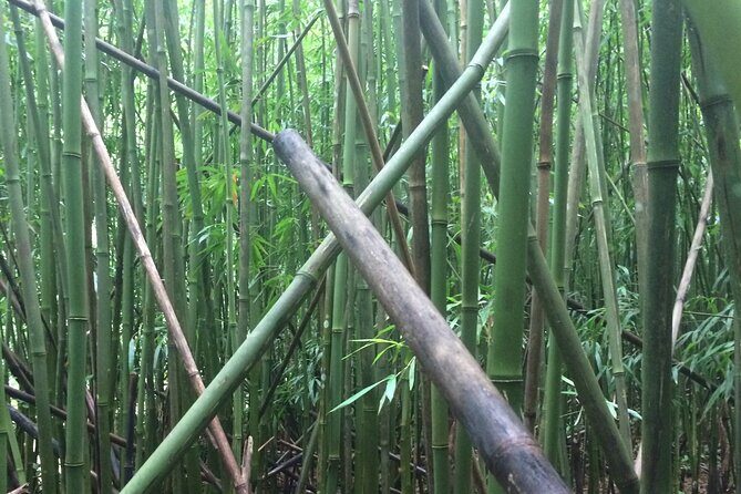 Hidden Hawaii Tours - Who Should Consider This Tour