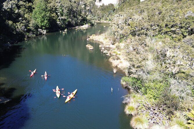 Hidden Lake Kayak Tour in Taups Secret Gem - What Makes the Hidden Lake Kayak Tour Special?