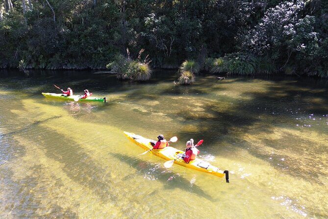 Hidden Lake Kayak Tour in Taups Secret Gem - Value and Practical Tips