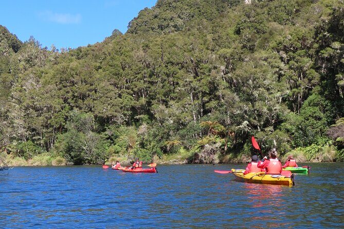 Hidden Lake Kayak Tour in Taups Secret Gem - Who Will Love This Tour?