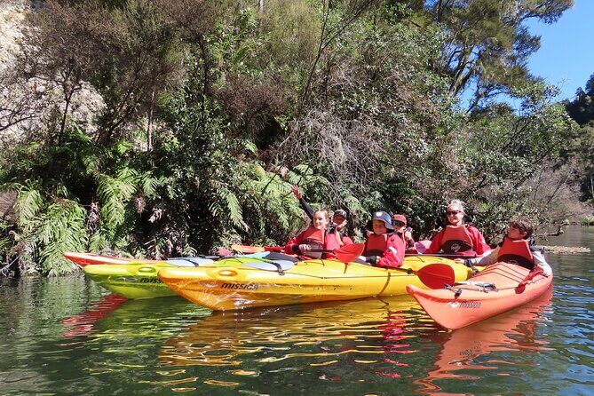 Hidden Lake Kayak Tour in Taups Secret Gem - Final Thoughts: Who Should Book This Tour?