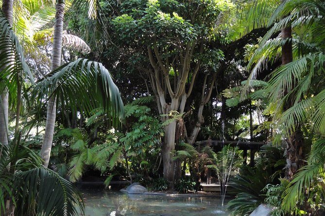 Hidden Nature Walks in the City Private Tour - Exploring San Diego’s Natural Diversity