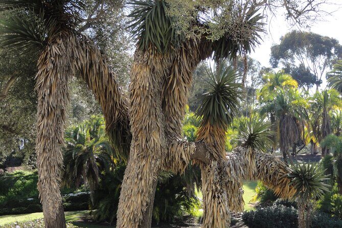 Hidden Nature Walks in the City Private Tour - Who Will Love This Tour?