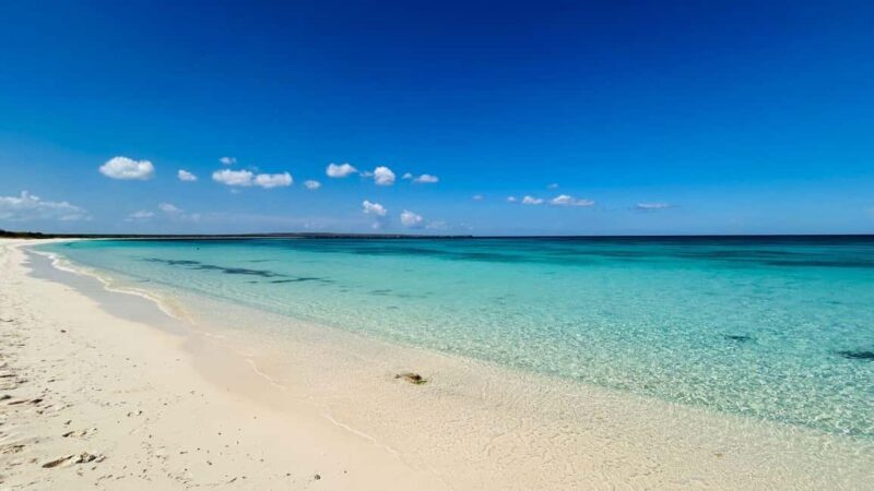 Hidden Paradise in the Caribbean: All-Inclusive VIP Private Glamping - Who Would Love This Experience?