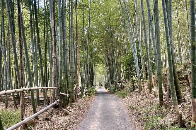 Hidden Secrets of Fushimi Inari: Bamboo Paths and Sake Village - Exploring Fushimi Inari’s Hidden Corners