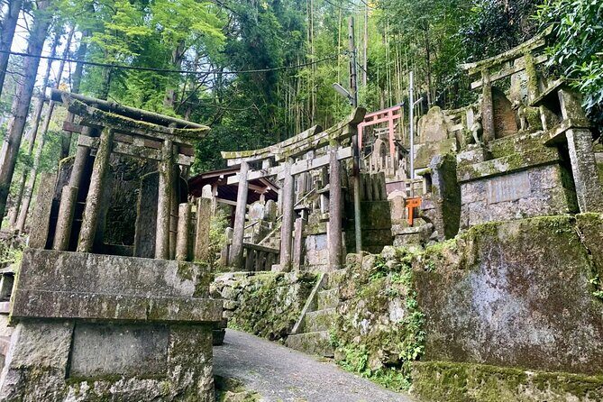 Hidden Secrets of Fushimi Inari: Bamboo Paths and Sake Village - What the Tours Reviews Say (and What We Can Expect)