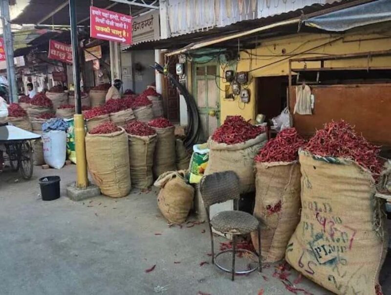 Hidden side of Udaipur : City walk with Mitali - Exploring Udaipur’s Hidden Streets: A Closer Look