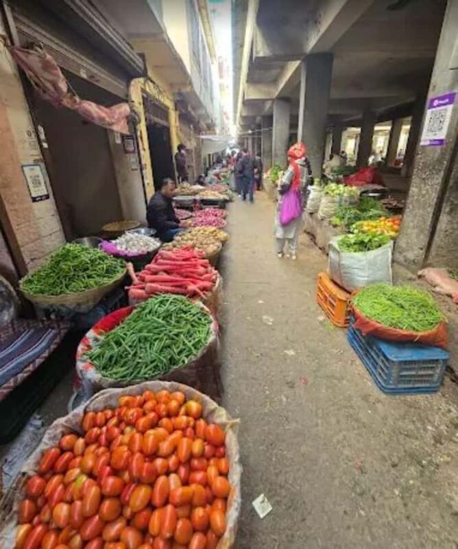 Hidden side of Udaipur : City walk with Mitali - Who Will Love This Tour?