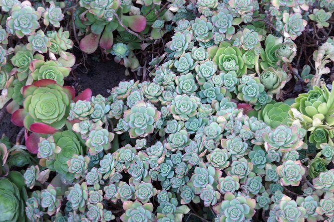 Hidden Stairways of San Francisco - FAQs