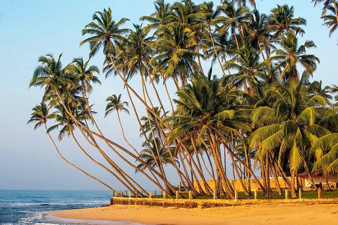 Hidden Temples and Secluded Coastlines Tour from Talpe - FAQ