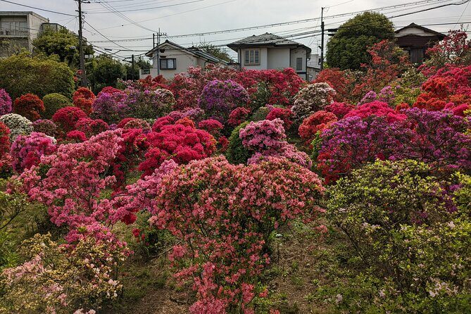 Hidden Temples Tour of Tokyo in Karasuyama - Key Points