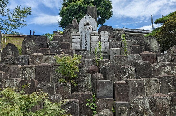 Hidden Temples Tour of Tokyo in Karasuyama - Who Will Love This Tour?
