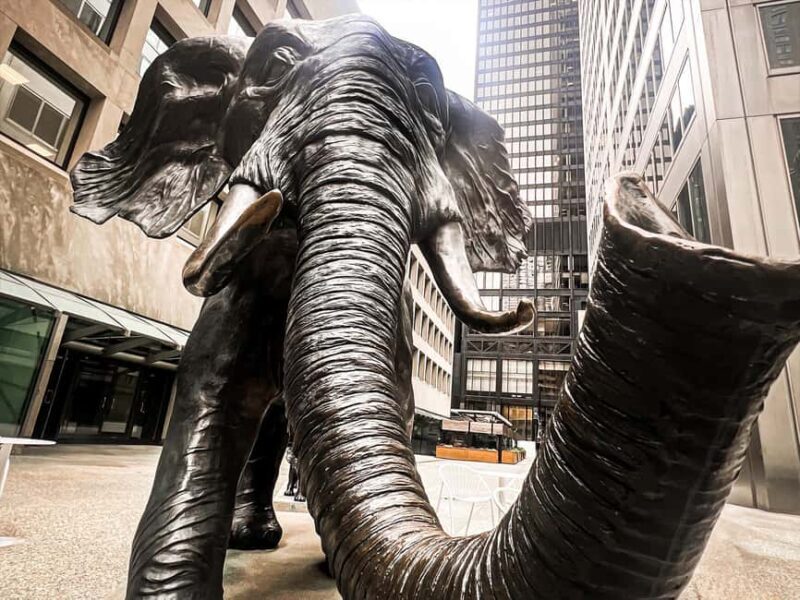 Hidden Toronto City Walking Tour - Discover the Hidden Side of Toronto with a Quirky Walking Tour