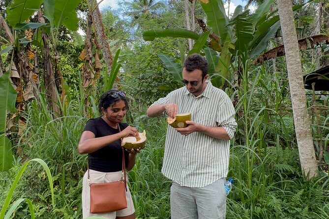 Hidden Trails Adventure in North Ubud - Key Points