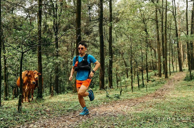 Hidden Trails & Forest Views | U Lesa Sóc Sn Experience - Day Two and Return