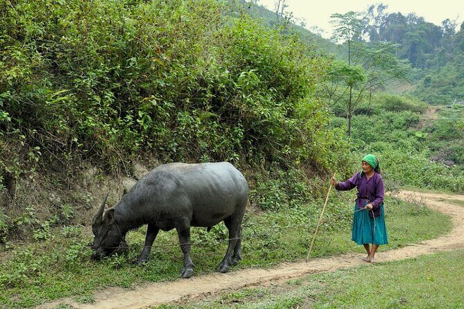 Hidden Trails Of Ba Be National Park 3 Days 2 Nights - FAQs