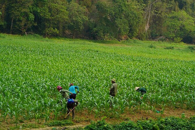 Hidden Trails Of Ba Be National Park 3 Days 2 Nights - Final Thoughts