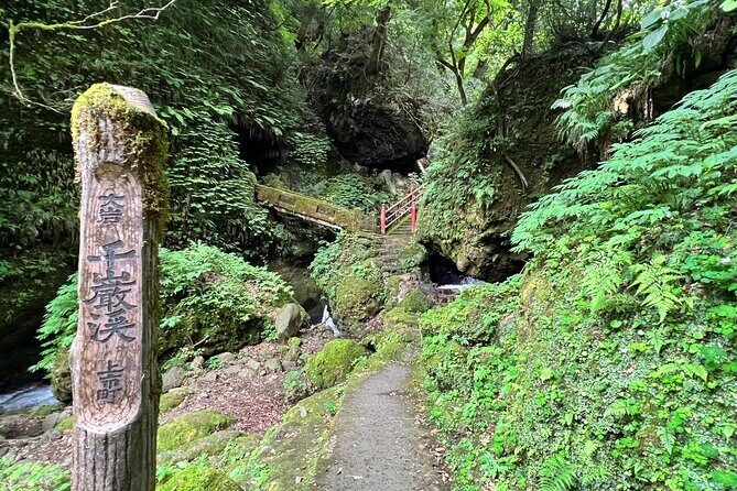 Hidden Treasures Day Tour from Toyama by Car - Exploring Toyama’s Hidden Gems: A Detailed Look at the Tour