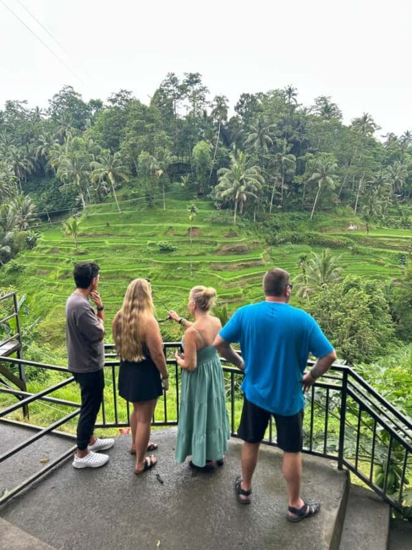 Hidden Ubud All-inclusive: Temple, Waterfalls & Jungle Swing - Practical Aspects: Transportation, Timing, and Value
