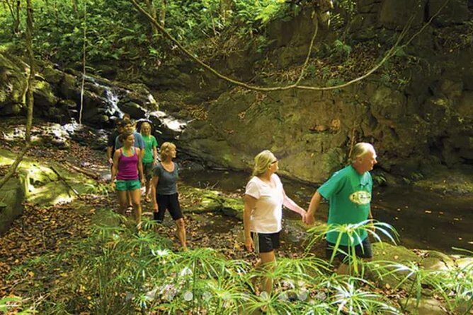 Hidden Valley Falls Kayak and Kauai Hike Adventure - Who Should Consider This Tour?