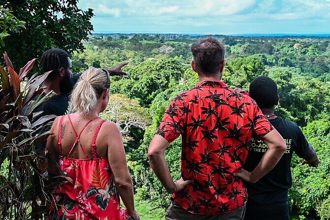 Hideaway Island Escape, Blue Lagoon and Turtle Experience - The Sum Up