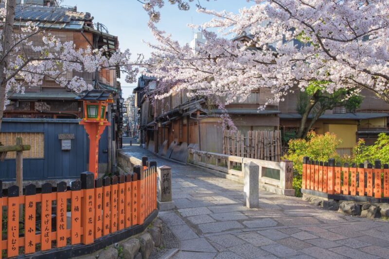 Higashiyama | Kyoto: Sakura Season Private Rickshaw Tour - The Sum Up