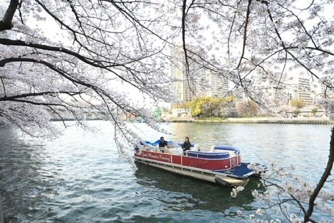 Higayoko River Night Cruise - Key Points