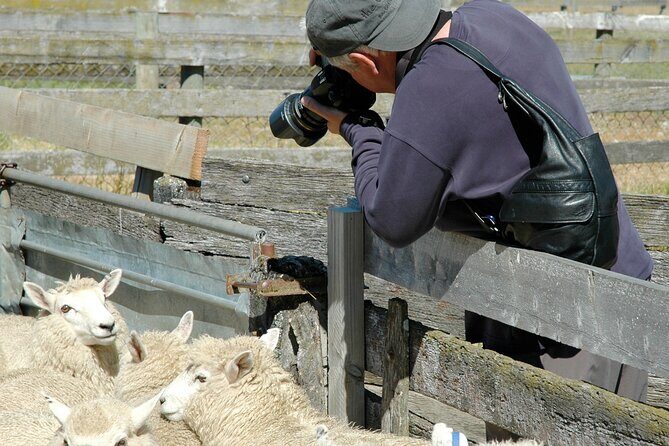 High Country Discovery Tour from Queenstown - Analyzing the Value