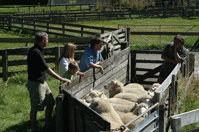 High Country Discovery Tour from Queenstown - Who Will Love This Tour