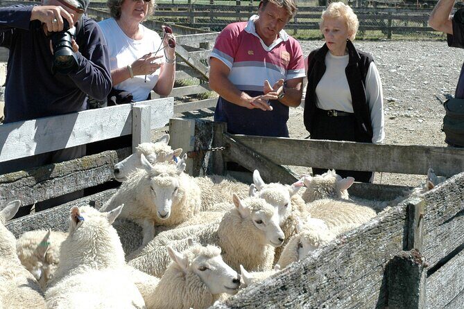 High Country Discovery Tour from Queenstown - The Experience in Practice
